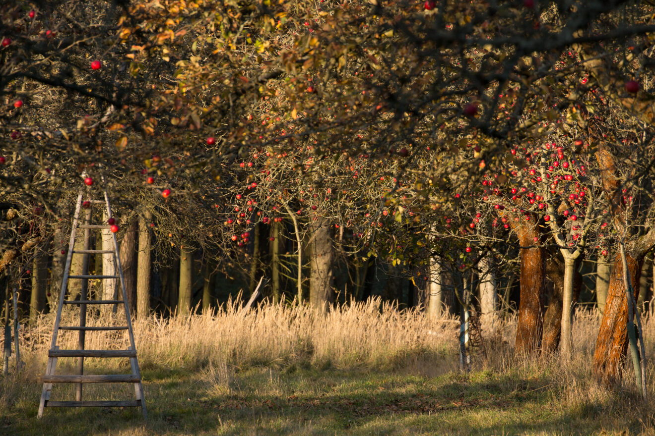 Hoher Fläming – Amt Niemegk